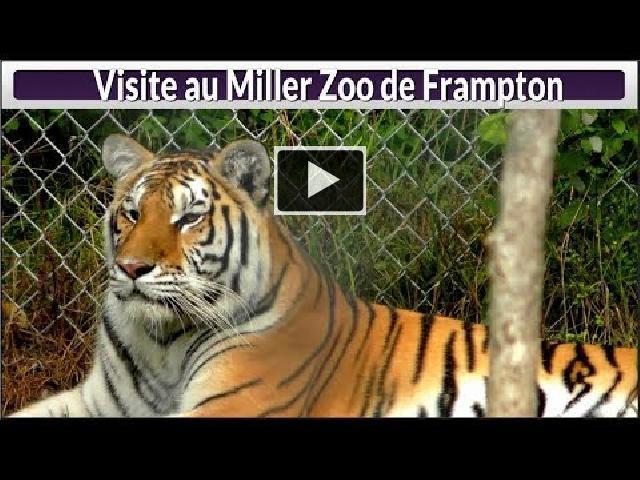Visite au Miller Zoo - Beauce.tv